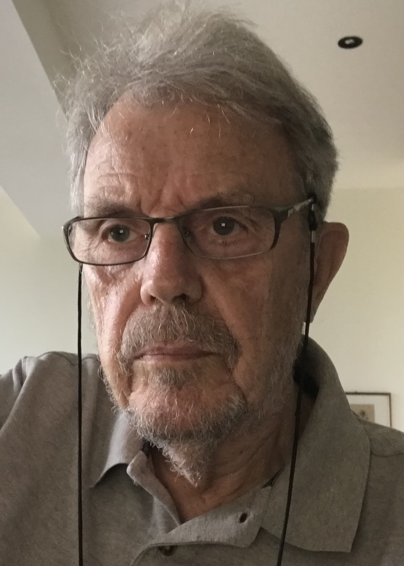 Dr Andreas Faludi - Spatial Planning & Strategy